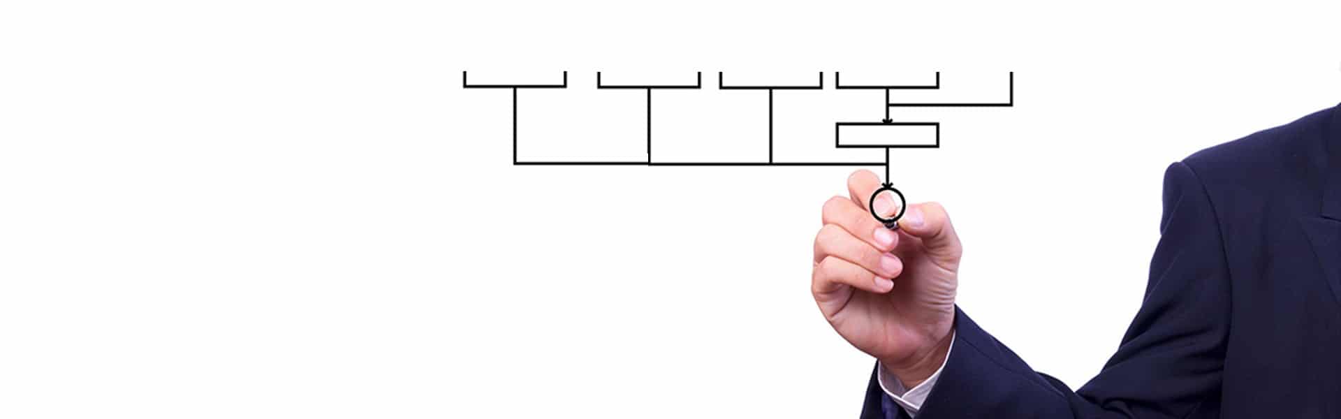 organisational-chart-banner - سایت هولدینگ شرکت استین